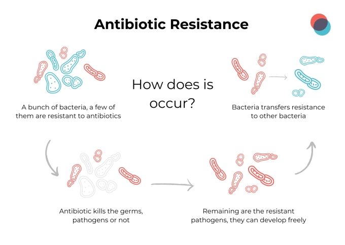 Antibiotic Resistance | Labtoo