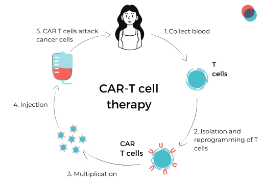 The promise of CAR-T cell therapy | Labtoo