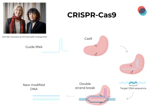 CRISPR-Cas9: what is it? | Labtoo