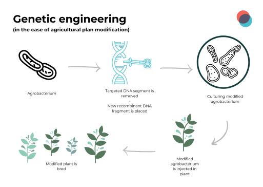 Genetic engineering | Labtoo