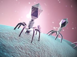 Standard virology testing - Virology - Labtoo