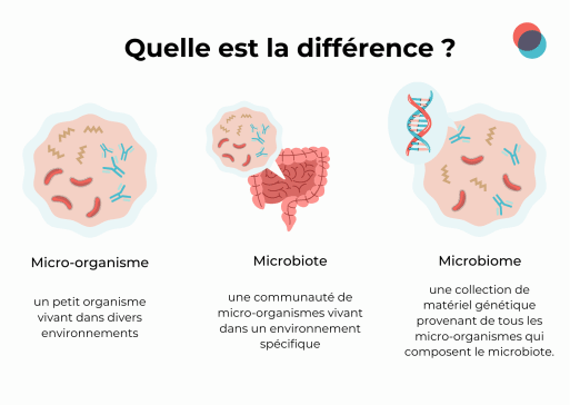 Microbiote | Labtoo