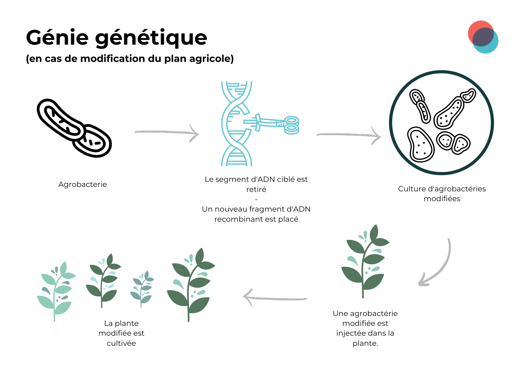 Génie génétique | Labtoo